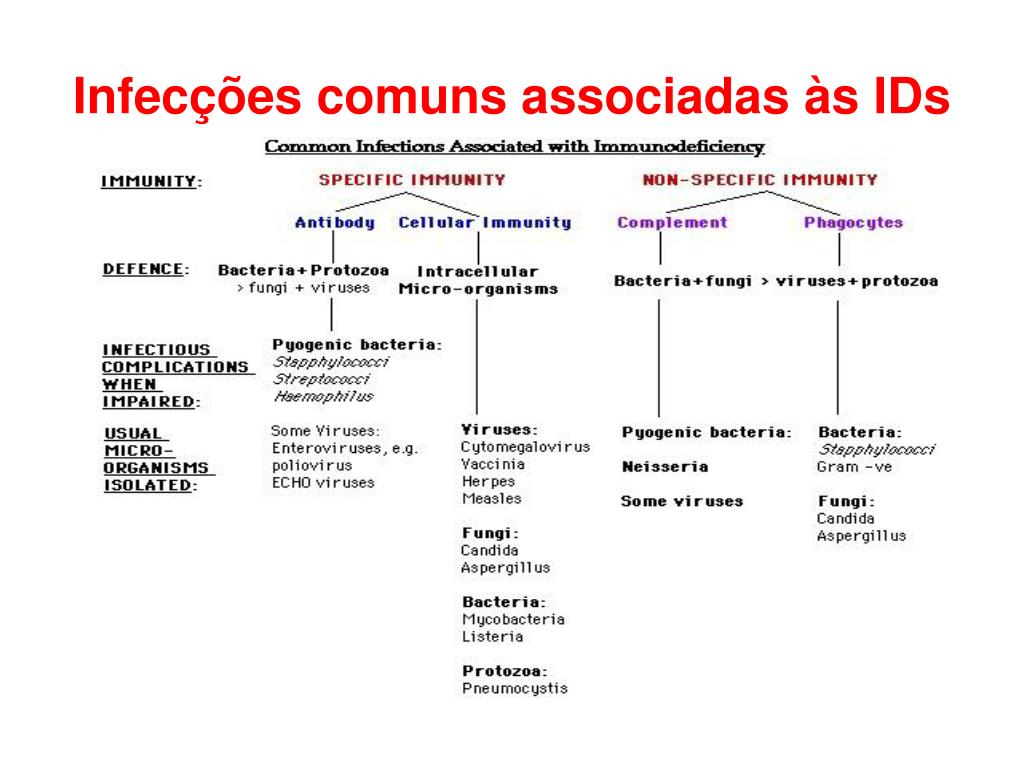 PPT - IMUNODEFICIÊNCIAS CONGÊNITAS E ADQUIRIDAS PowerPoint Presentation ...