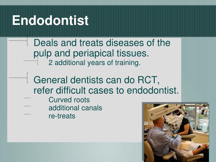 PPT - Chapter 24 Endodontics PowerPoint Presentation - ID:5652626
