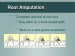 PPT - Chapter 24 Endodontics PowerPoint Presentation - ID:5652626