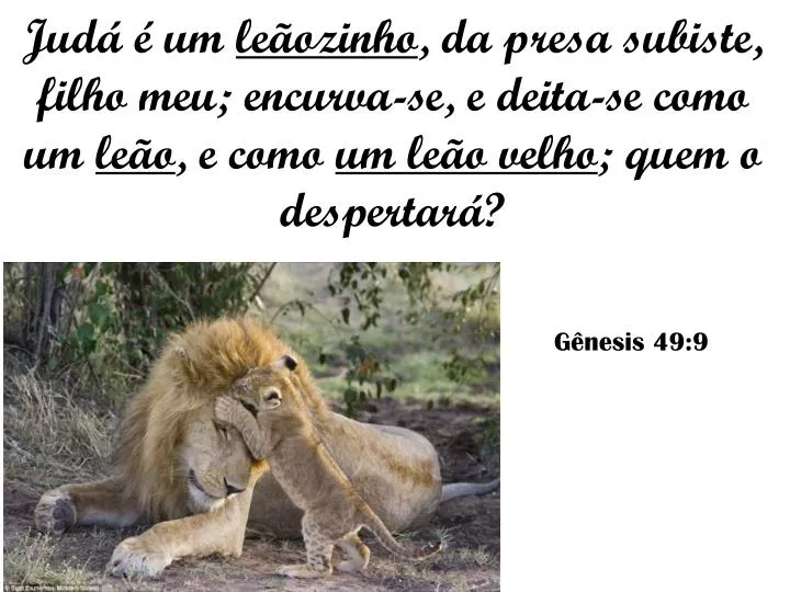 PPT - Gênesis 49:9 PowerPoint Presentation, free download - ID:5652775