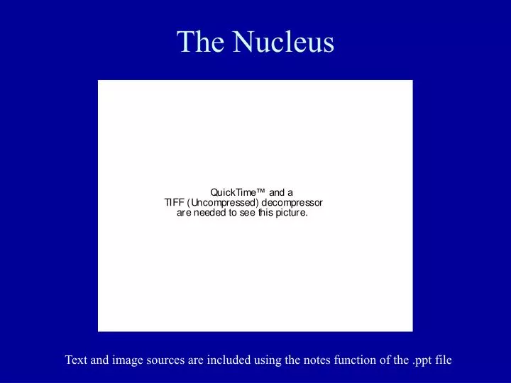 PPT - The Nucleus PowerPoint Presentation, free download - ID:5652851