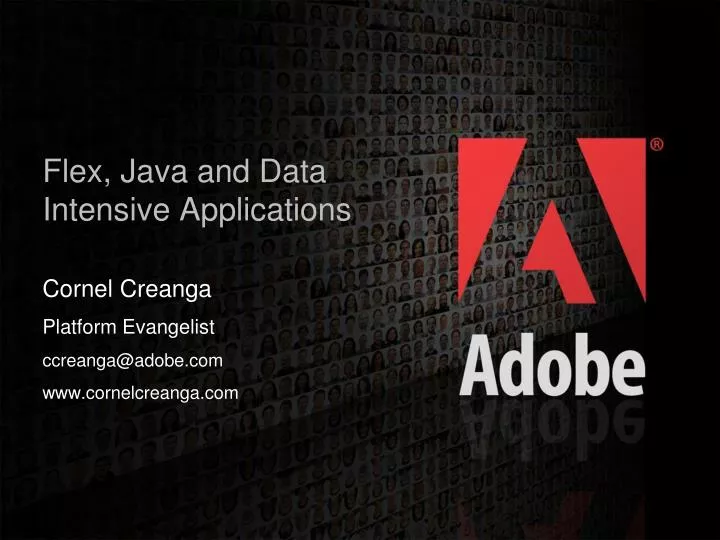 PPT - Flex, Java and Data Intensive Applications PowerPoint Presentation - ID:5653020