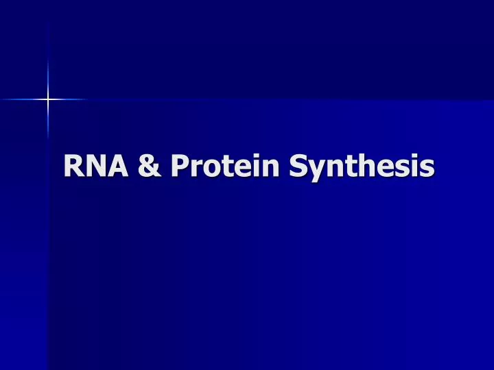 PPT - RNA & Protein Synthesis PowerPoint Presentation, free download ...