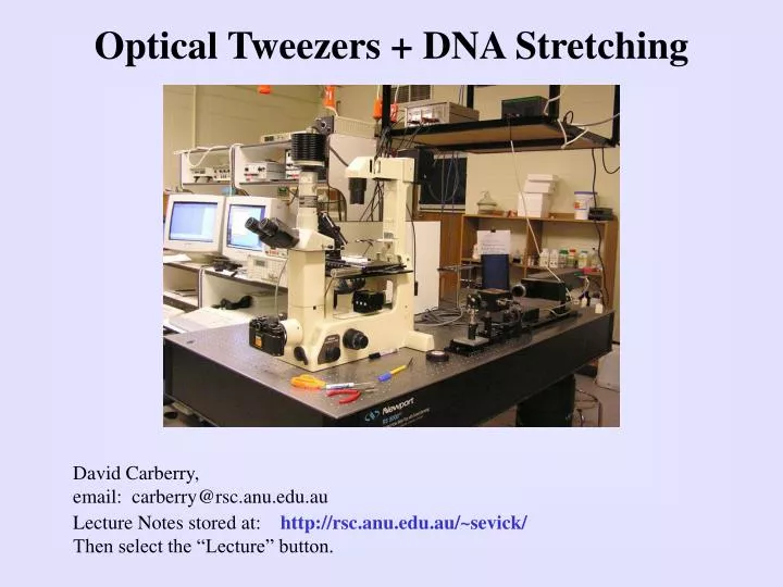 PPT - Optical Tweezers + DNA Stretching PowerPoint Presentation, free ...