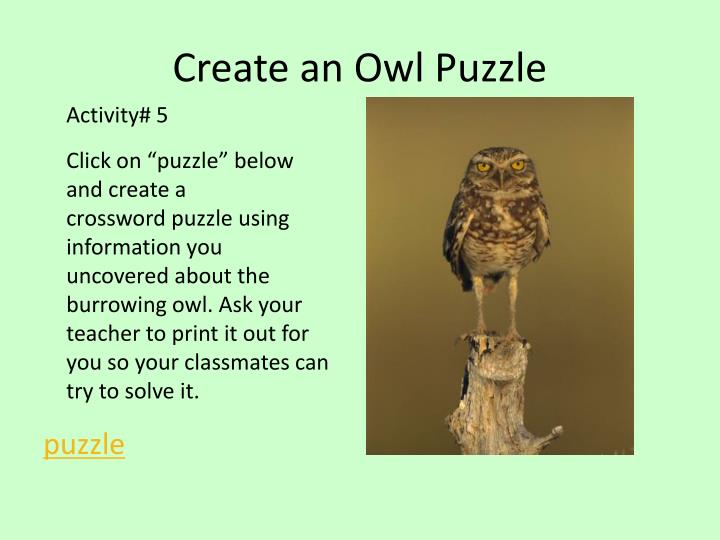 PPT - HOOT WEBQUEST PowerPoint Presentation - ID:5654733