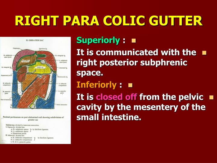 PPT - PARTS PowerPoint Presentation - ID:5654904