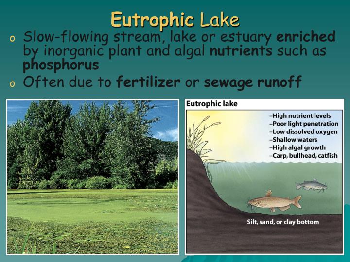 PPT - Types of Water Pollution PowerPoint Presentation - ID:5655444