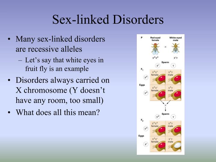 Ppt Meiosis And Sex Linked Traits Powerpoint Presentation Id5655855