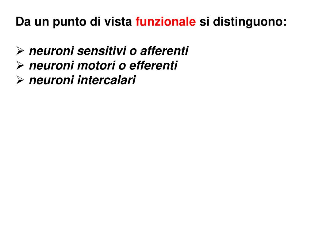 PPT - TESSUTO NERVOSO cellule nervose o neuroni nevroglia o glia vasi ...