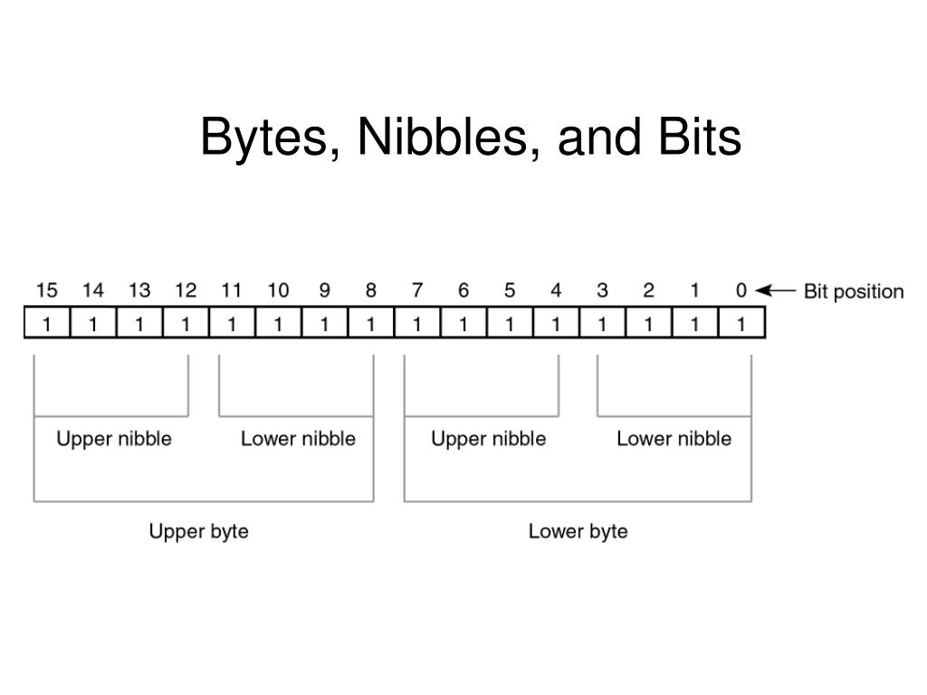 Nibbles To Byte At Hamish Geake Blog Nibbles To Byte At Hamish Geake Blog