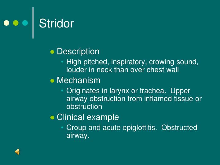 PPT - Thorax and Lungs PowerPoint Presentation - ID:5657219