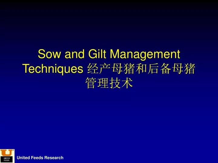 PPT - Sow and Gilt Management Techniques 经产母猪和后备母猪管理技术 PowerPoint ...
