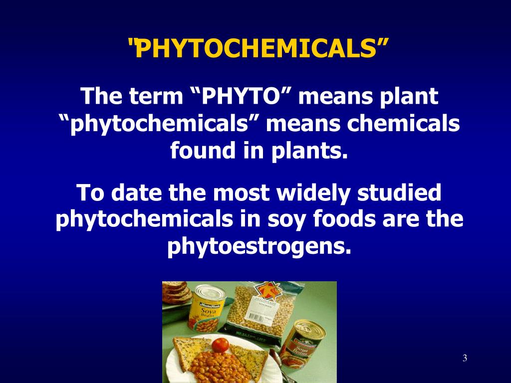 PPT - PLANT FOODS AND DISEASE PREVENTION Phytochemicals PowerPoint ...