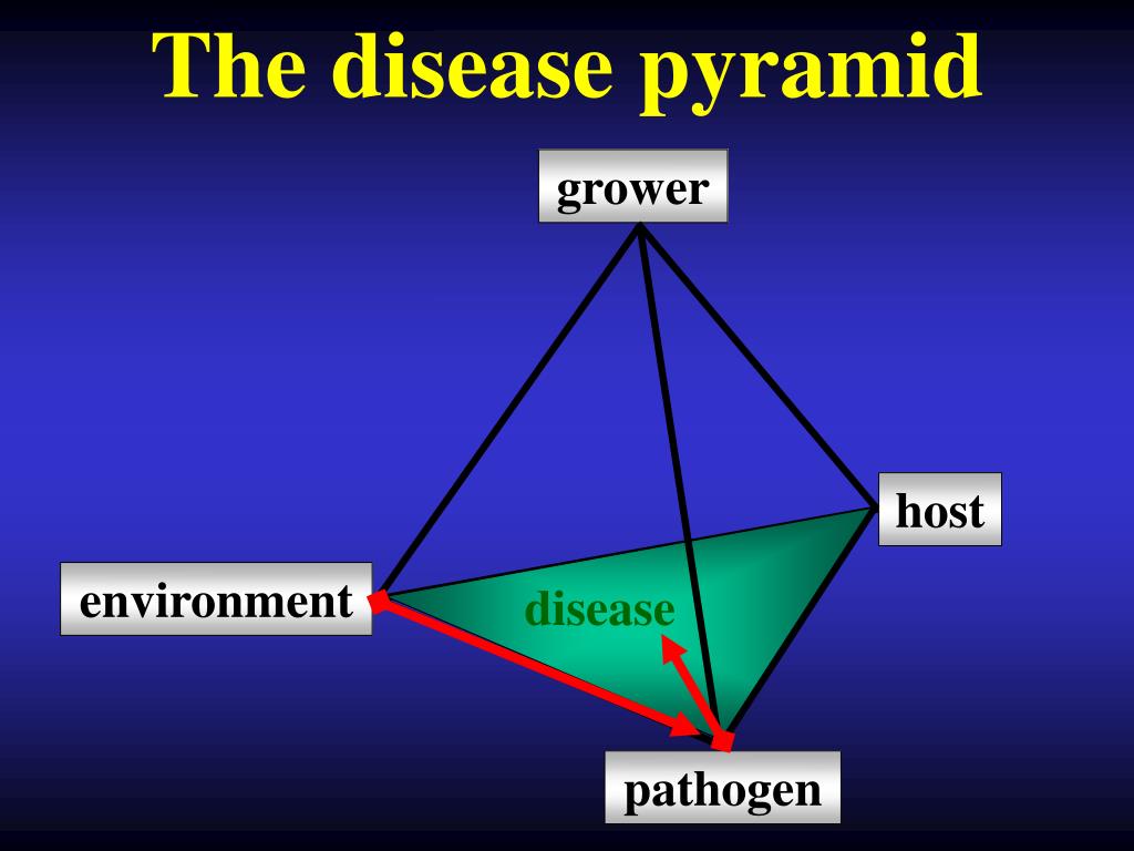 PPT 1 5 Prediction Of Disease Outbreaks PowerPoint Presentation Free