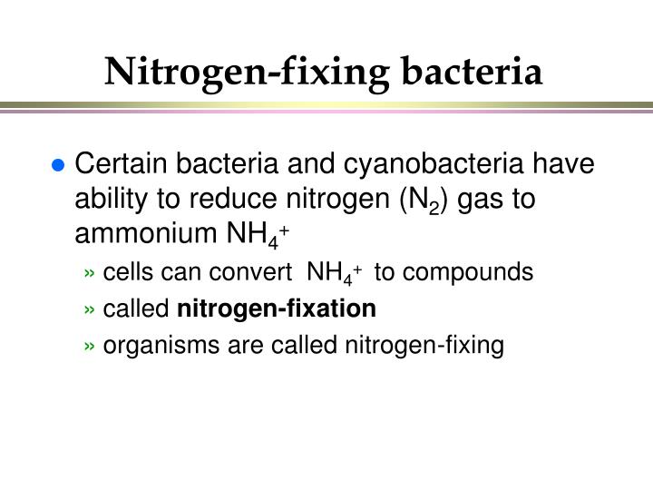 PPT - LEGUMES PowerPoint Presentation - ID:5657481