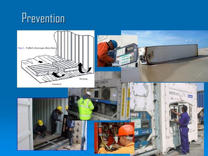 PPT - REEFER CONTAINERS & REFRIGERATED GOODS PowerPoint Presentation ...