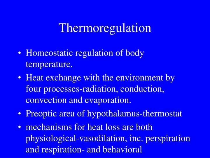 PPT - Metabolism and Energetics PowerPoint Presentation - ID:5659462