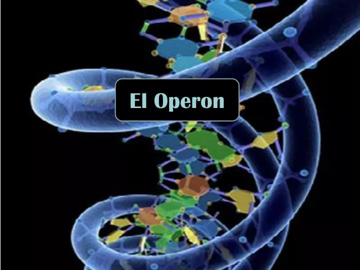 PPT - El Operon PowerPoint Presentation, free download - ID:5662389
