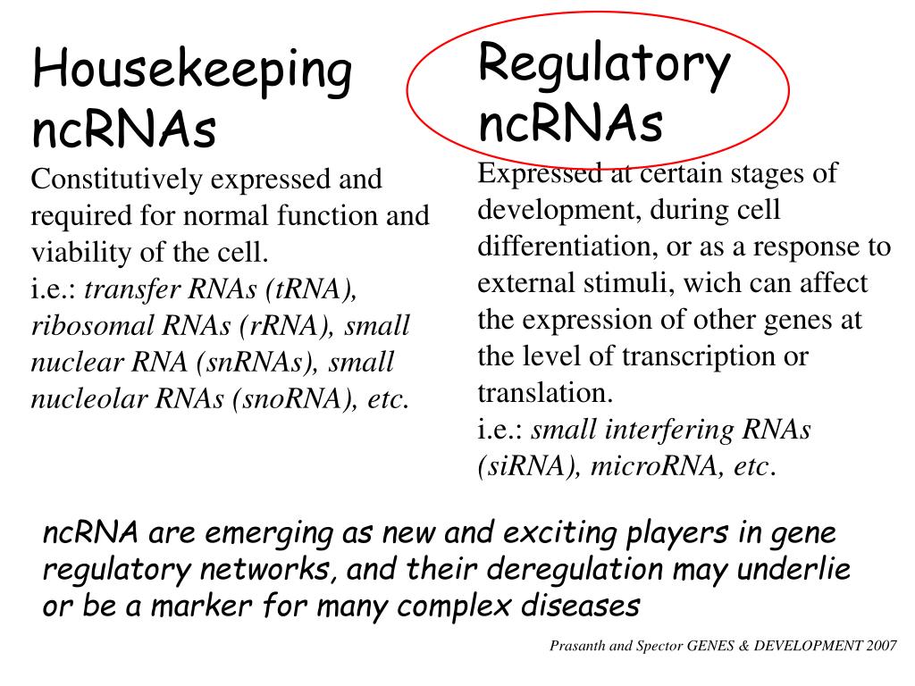 PPT - Marco Magistri 09-11-2007, Journal Club PowerPoint Presentation ...