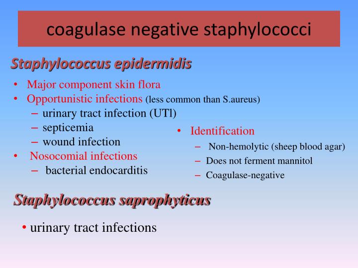 PPT - C occi PowerPoint Presentation - ID:5663604