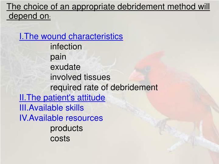 PPT - Wound debridement PowerPoint Presentation - ID:5663786