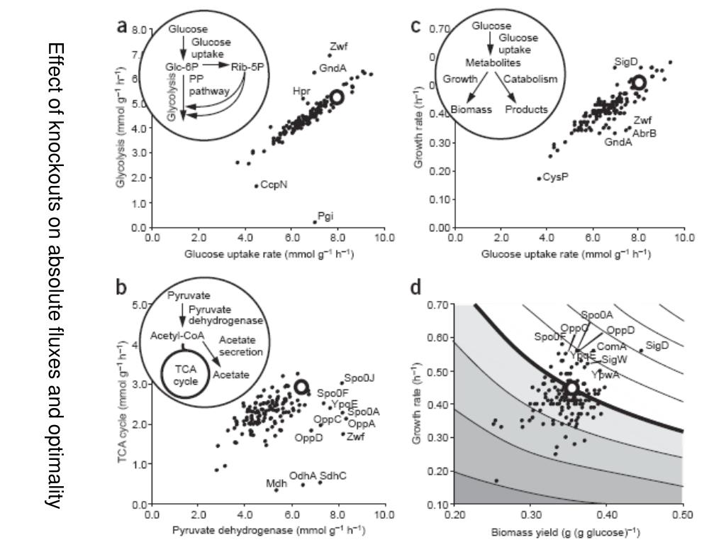 PPT - Ref: Eliane Fischer & Uwe Sauer, Nature Genetics 37:636 Presented ...