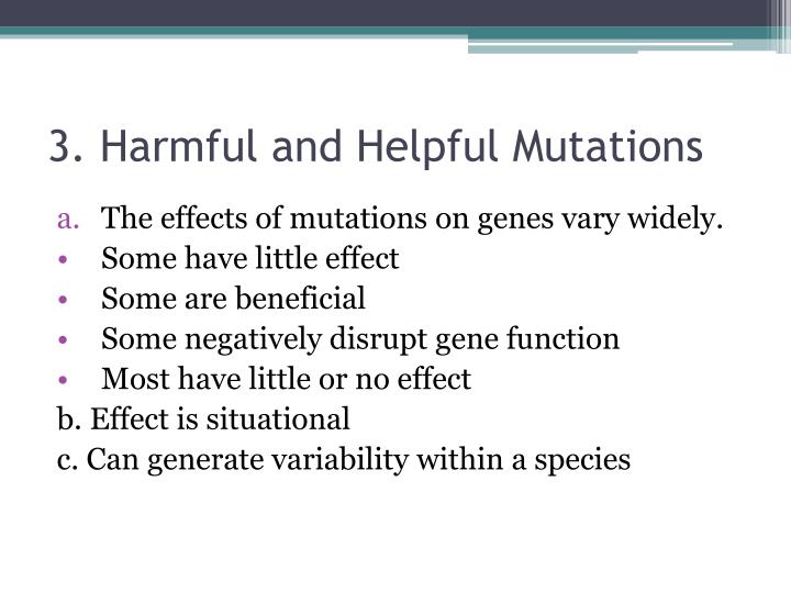PPT - Chapter 13- RNA and Protein Synthesis PowerPoint Presentation ...