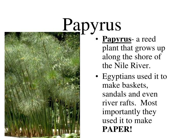 PPT - The Nile River PowerPoint Presentation - ID:5665624