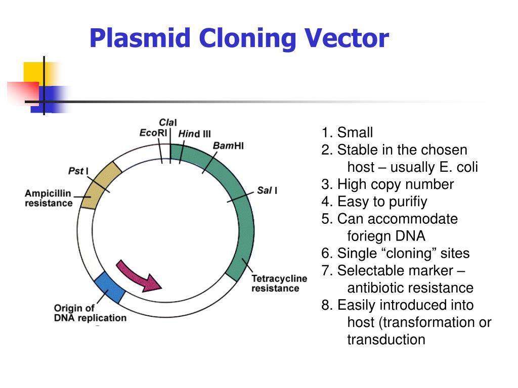 PPT - Application in Molecular Cloning PowerPoint Presentation, free ... PPT - Application in Molecular Cloning PowerPoint Presentation, free ...