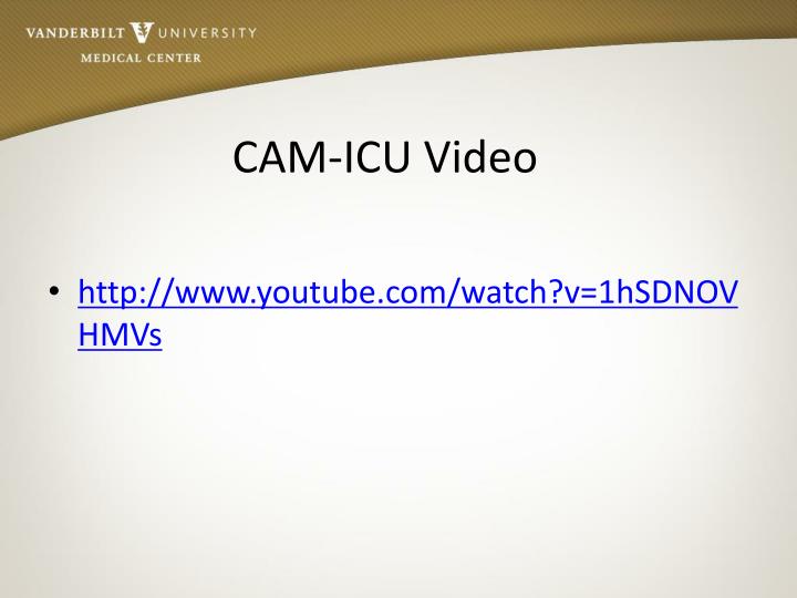 PPT - DELIRIUM PowerPoint Presentation - ID:5666341