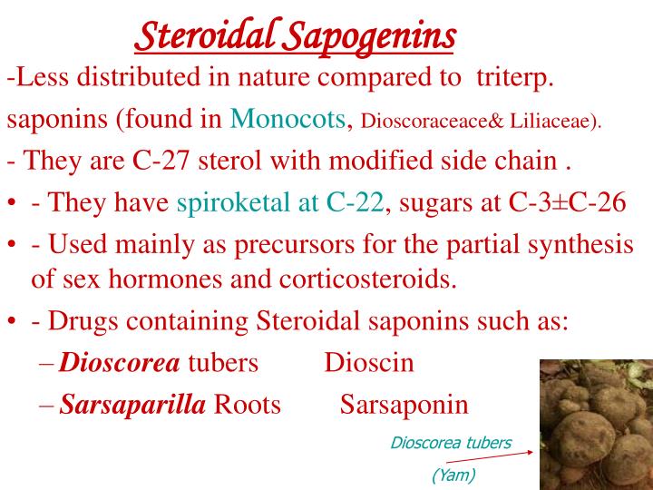PPT - Saponin Glycosides PowerPoint Presentation - ID:5666547