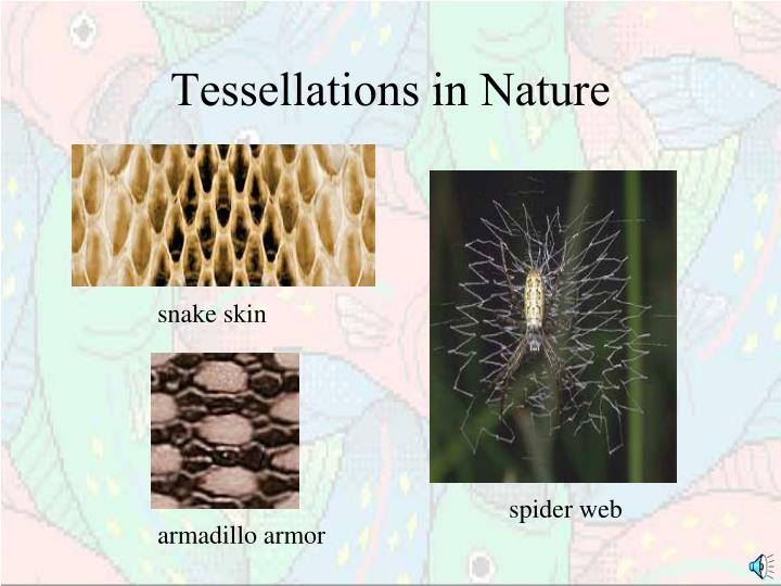 PPT - Tessellations PowerPoint Presentation - ID:5666601