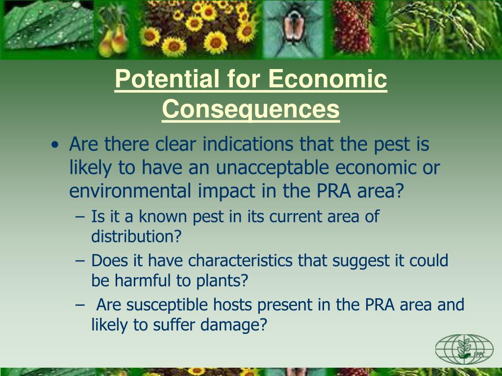PPT - Pest Risk Analysis (PRA) Stage 2: Pest Risk Assessment PowerPoint ...
