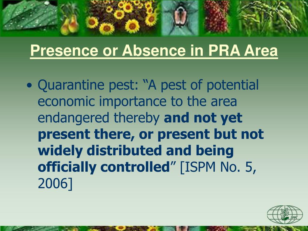 PPT - Pest Risk Analysis (PRA) Stage 2: Pest Risk Assessment PowerPoint ...