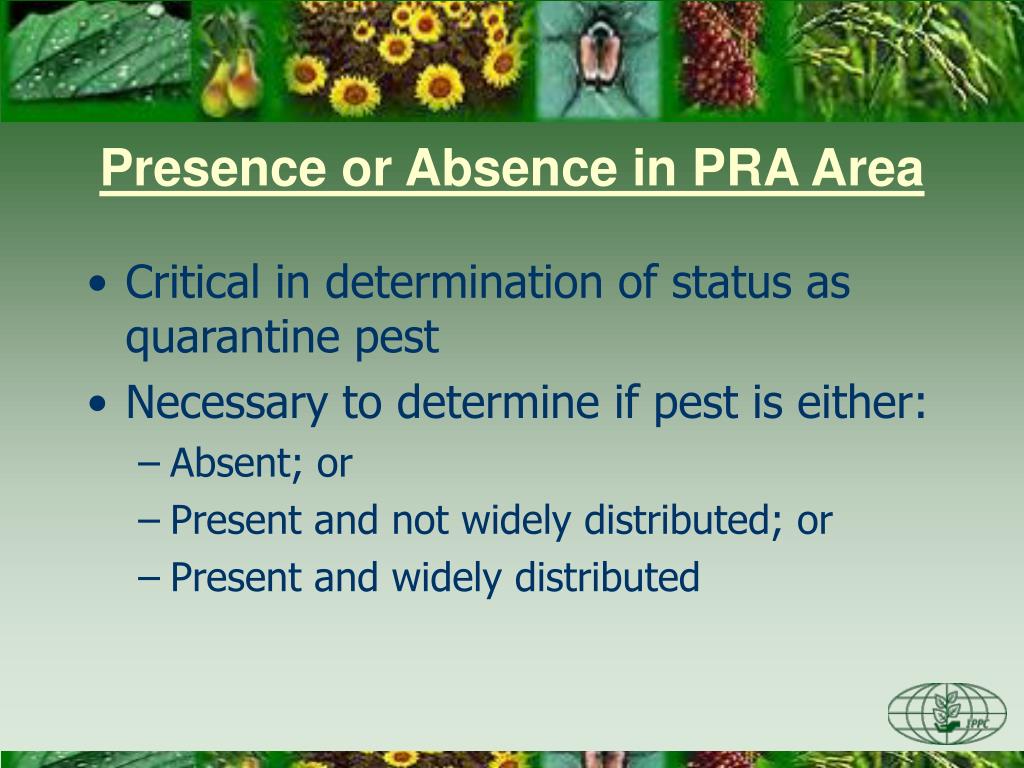 PPT - Pest Risk Analysis (PRA) Stage 2: Pest Risk Assessment PowerPoint ...