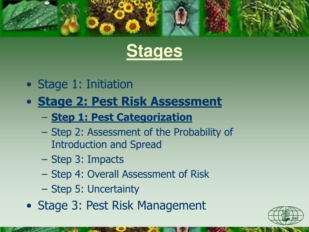 PPT - Pest Risk Analysis (PRA) Stage 2: Pest Risk Assessment PowerPoint ...