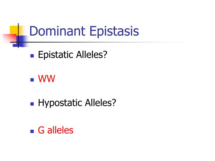 PPT - Epistasis PowerPoint Presentation - ID:5666977