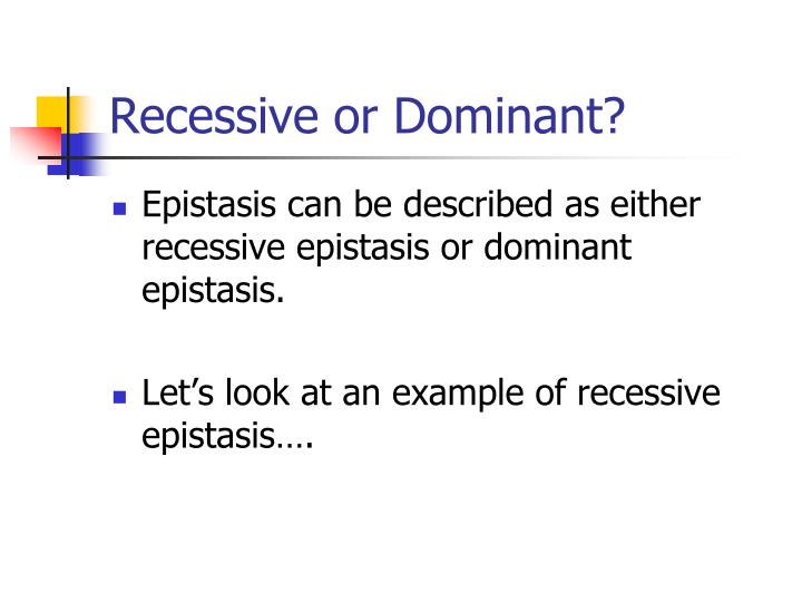 PPT - Epistasis PowerPoint Presentation - ID:5666977