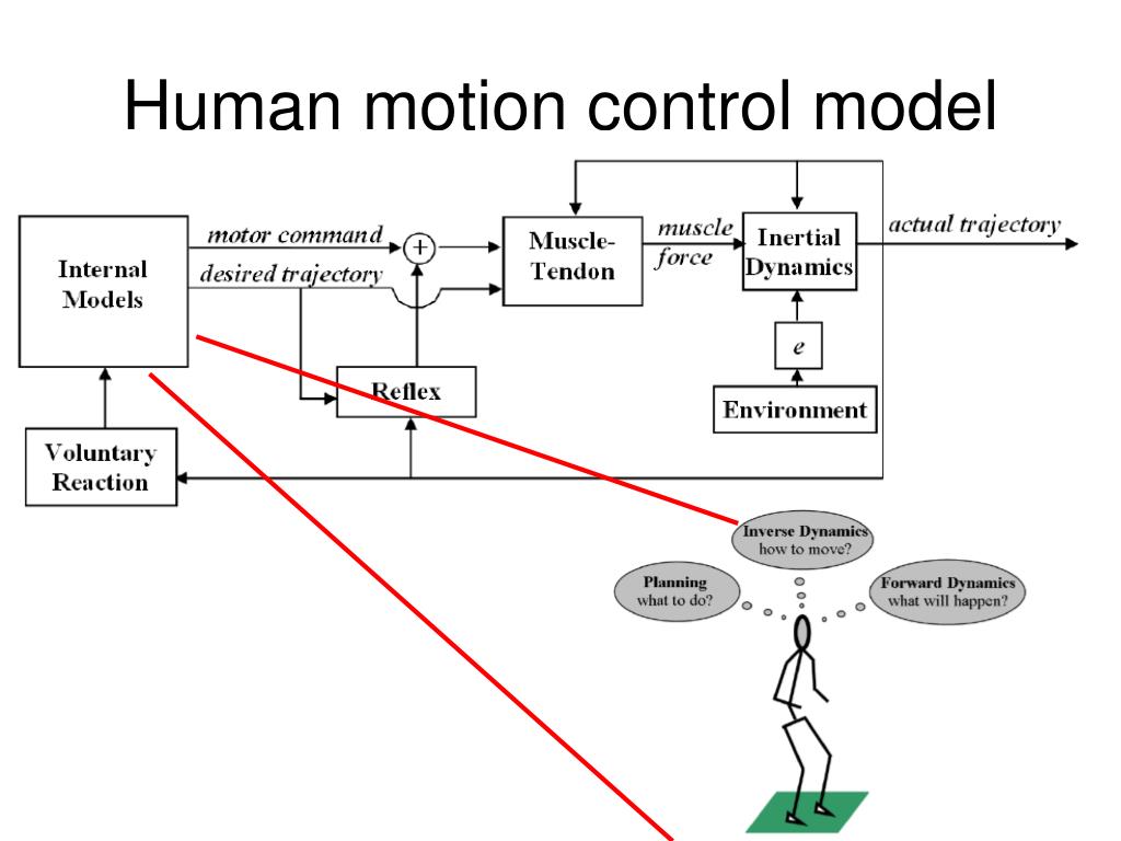 PPT - Motion Synthesis for Articulated Human Bodies PowerPoint ...
