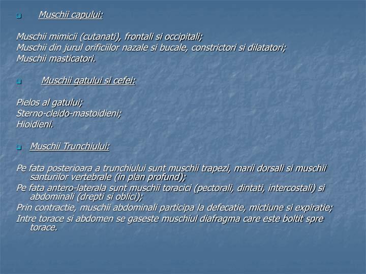 PPT - SISTEMUL MUSCULAR PowerPoint Presentation - ID:5667941