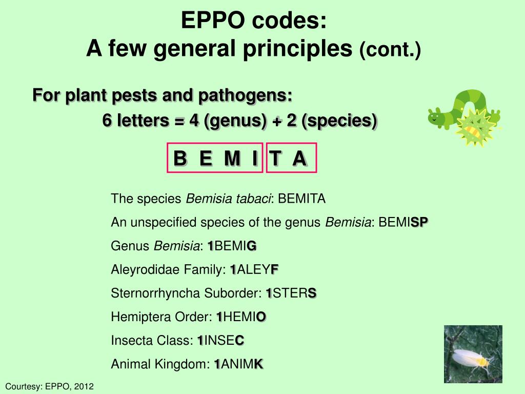 PPT - Rebecca Lee, PhD NAPPO Technical Director ePhyto Steering ...