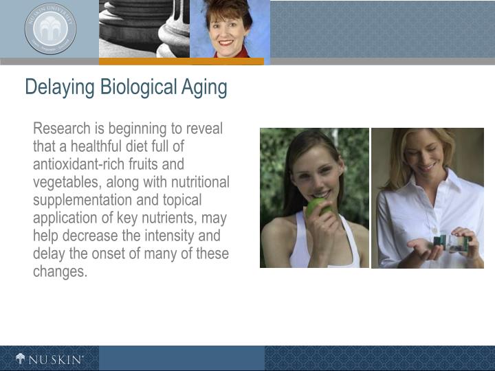 PPT - Skin Aging and Physiology PowerPoint Presentation - ID:5668117