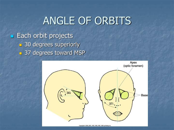 PPT - Radiography of the Orbits PowerPoint Presentation - ID:5669687