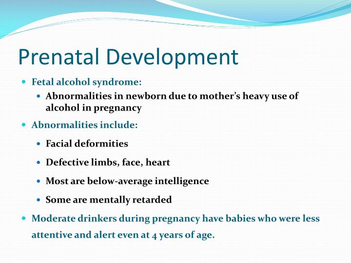 PPT - Prenatal Development PowerPoint Presentation - ID:5669847
