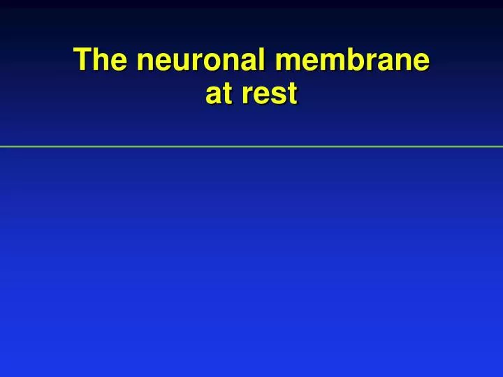 PPT - The neuronal membrane at rest PowerPoint Presentation, free ...