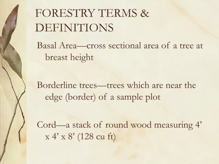 PPT - FORESTRY TERMS & DEFINITIONS PowerPoint Presentation, free ...