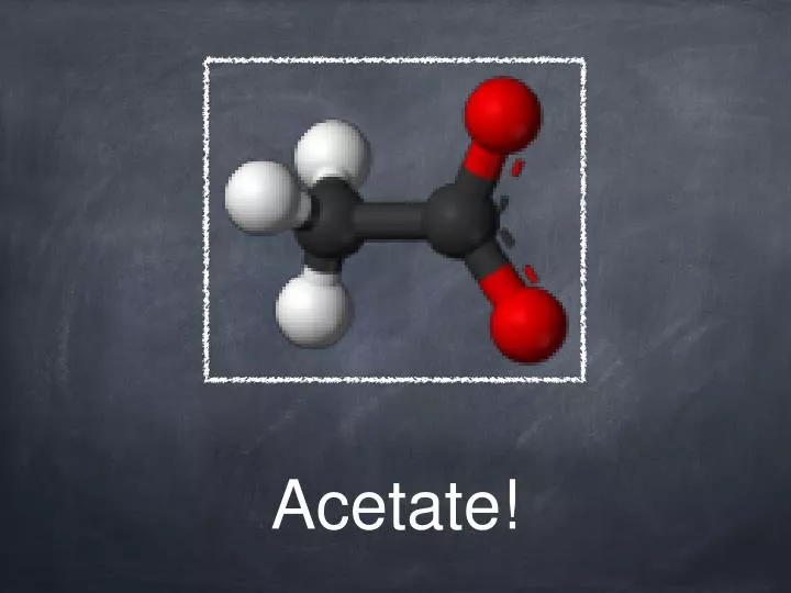 PPT - Acetate! PowerPoint Presentation, free download - ID:5672409