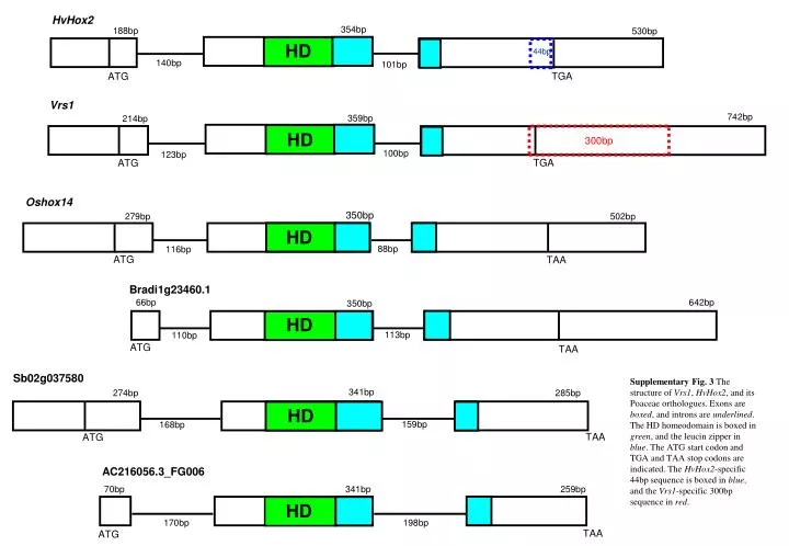 PPT - ATG PowerPoint Presentation, free download - ID:5673027