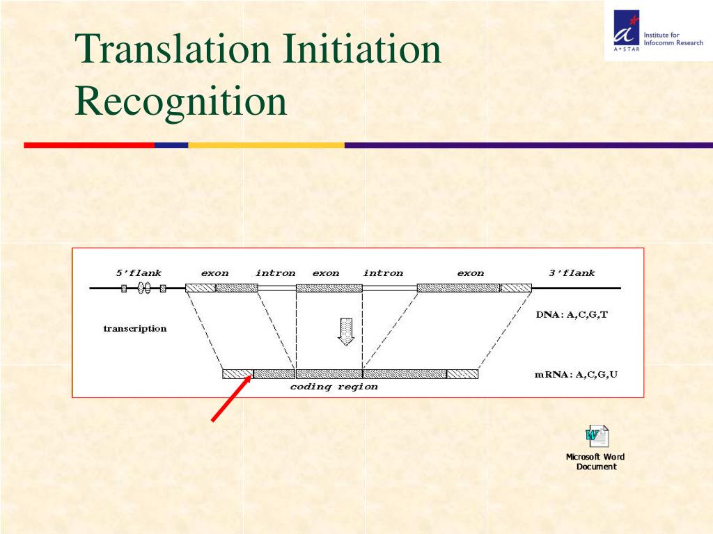 PPT - Fanfan Zeng & Roland Yap National University of Singapore Limsoon ...