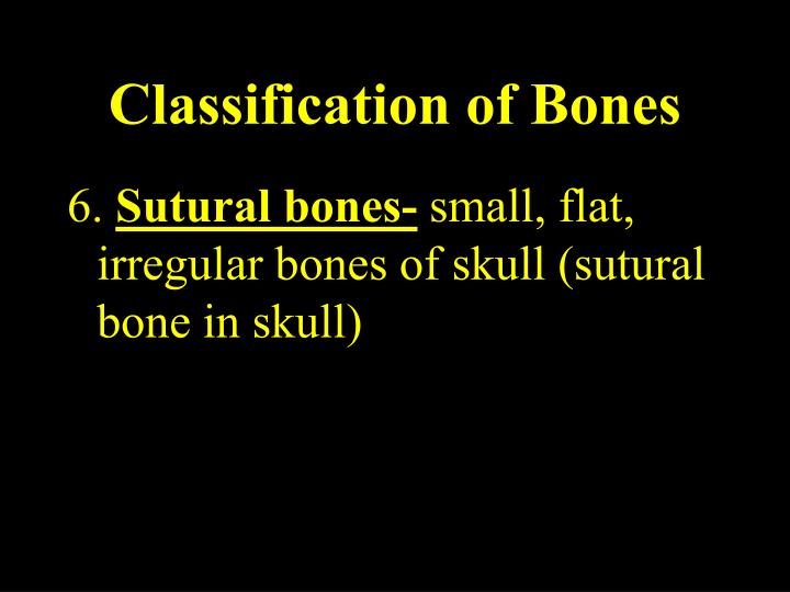 PPT - The Skeletal System PowerPoint Presentation - ID:5675112